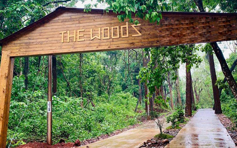 Book Resorts in Woods | The Woods Resorts (With Prices)